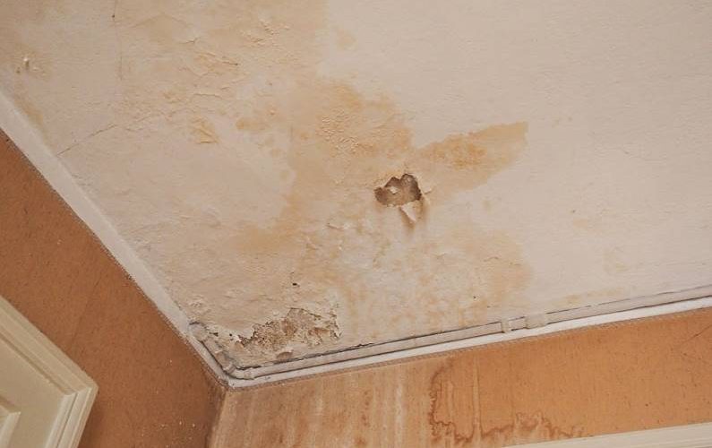 ¿Cómo prevenir la aparición de moho, hongos y humedad en casa? - MB ...